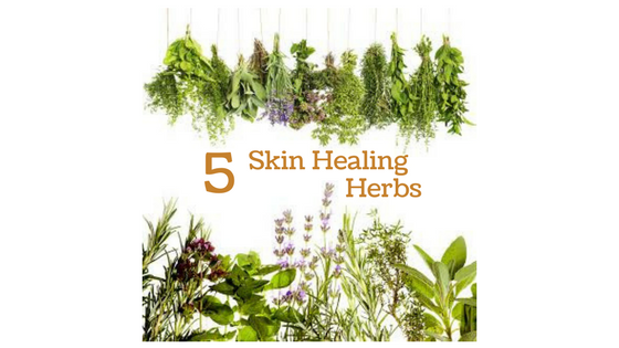 5 Natural Skincare Solutions with Herbs – Herb'N Eden